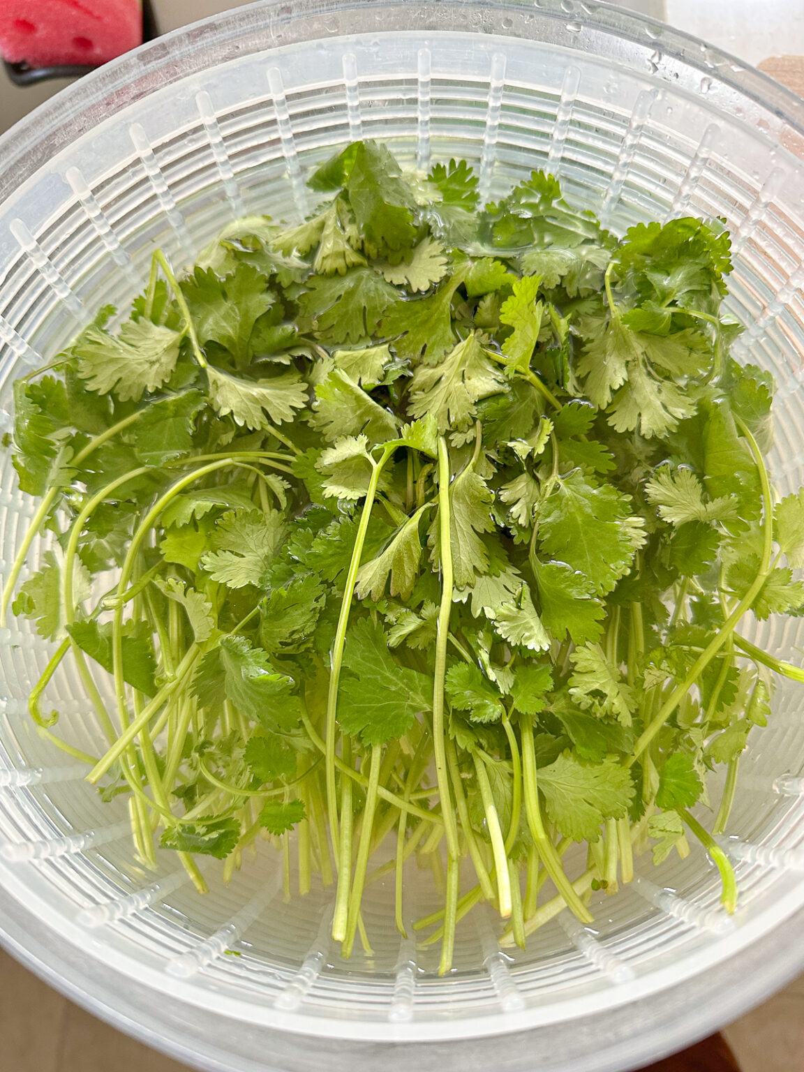 The Best Creamy Cilantro Green Sauce - Cook With Dana